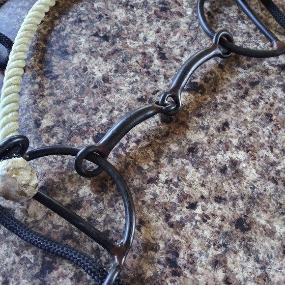 Other | Gag Headstall Bit Bridle | Poshmark